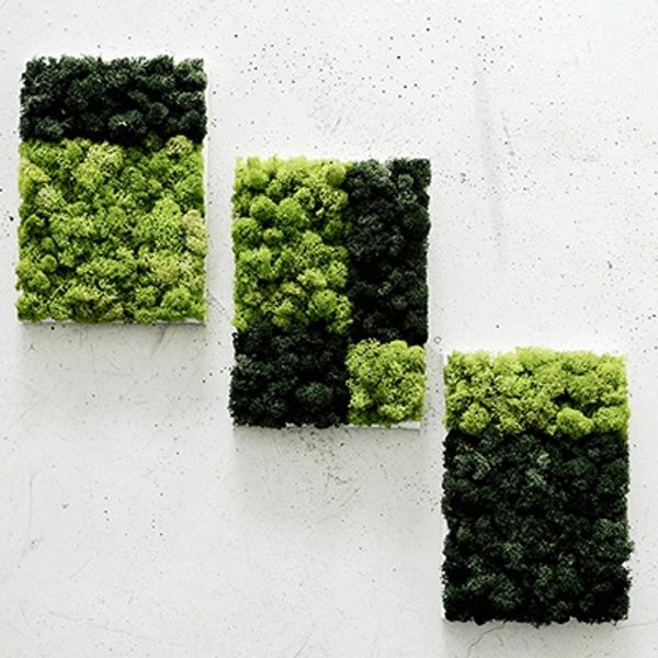 Alvin Design [앨빈디자인] 스칸디아모스 인테리어 모던액자 - 핫트랙스