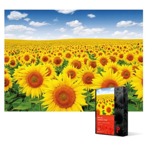hplusmall 500피스 직소퍼즐 - 푸른 하늘 해바라기 들판 - 핫트랙스