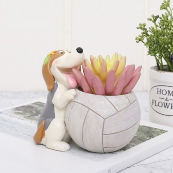 hobby's ROOGO 루고 다육이 화분 강아지 스타디움 배구 - 핫트랙스