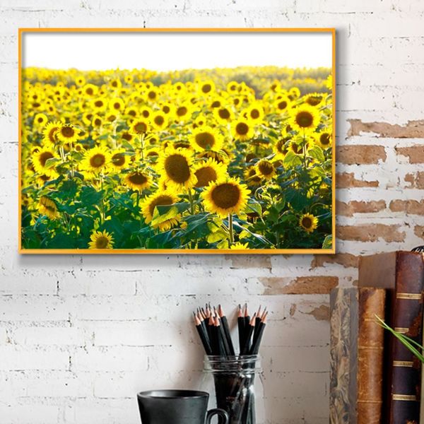 hplusmall 10해바라기사진_A3골드알루미늄 가로(WBF0BEE) - 핫트랙스