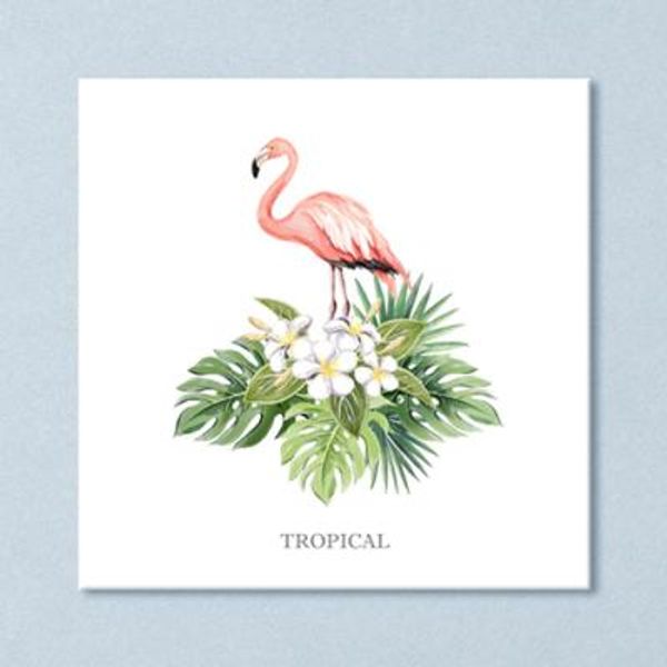 ggoomim iw363-트로피컬_노프레임 - 핫트랙스