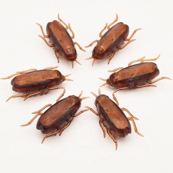 ZIPDREE 할로윈 움직이는 바퀴벌레 쥐 거미모형 특이한 소품 3개한세트 - 핫트랙스