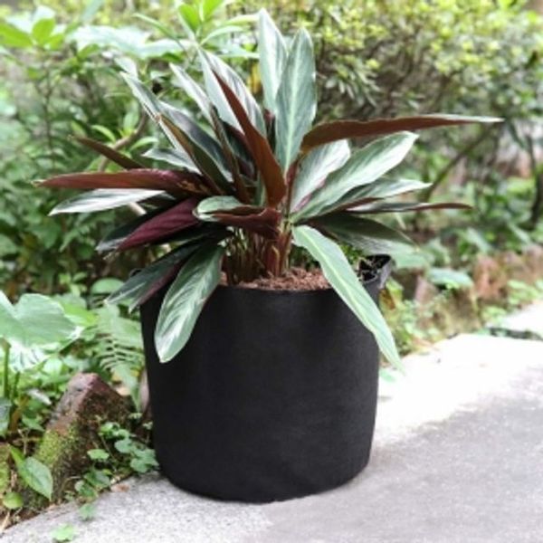 hplusmall 가드닝 부직포 화분 2p세트 WC2CDC1 - 핫트랙스