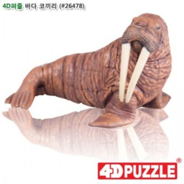 hplusmall 두뇌발달 4D 동물 퍼즐 바다코끼리 - 핫트랙스