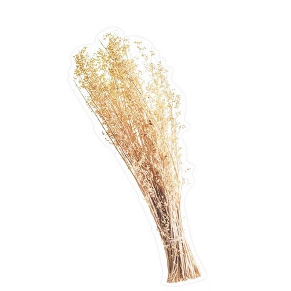 hplusmall 빈티지다꾸 압화 스티커 드라이플라워스티커 C 세트[W - 핫트랙스