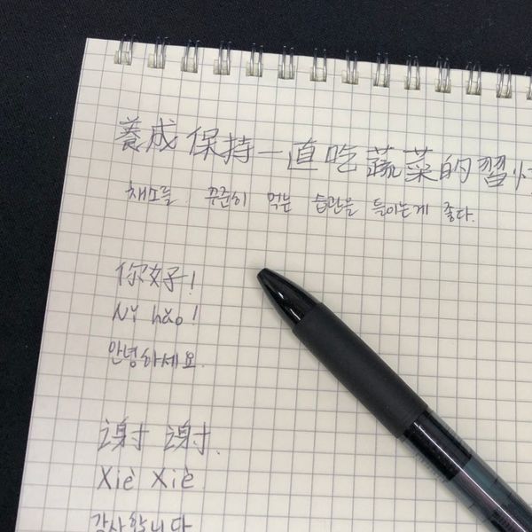 hplusmall 투명커버 스프링 모눈노트 B5 세로형(W9BB485) - 핫트랙스