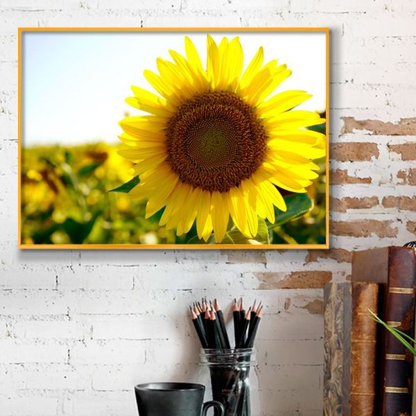 hplusmall 2해바라기사진_A3골드알루미 WBF0BD3 - 핫트랙스