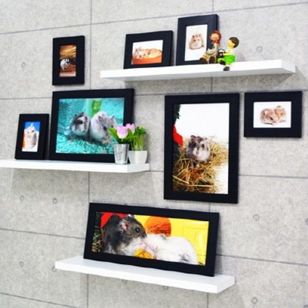 ggoomim ix001-햄스터의하루 - 핫트랙스