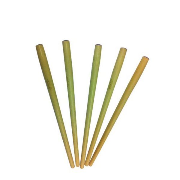 hplusmall 나무 펜대 3개 W7790CF - 핫트랙스