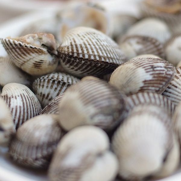 Eumdam [음담] 국내산 벌교 새꼬막 대 (80미내외) 1kg 2팩 - 핫트랙스