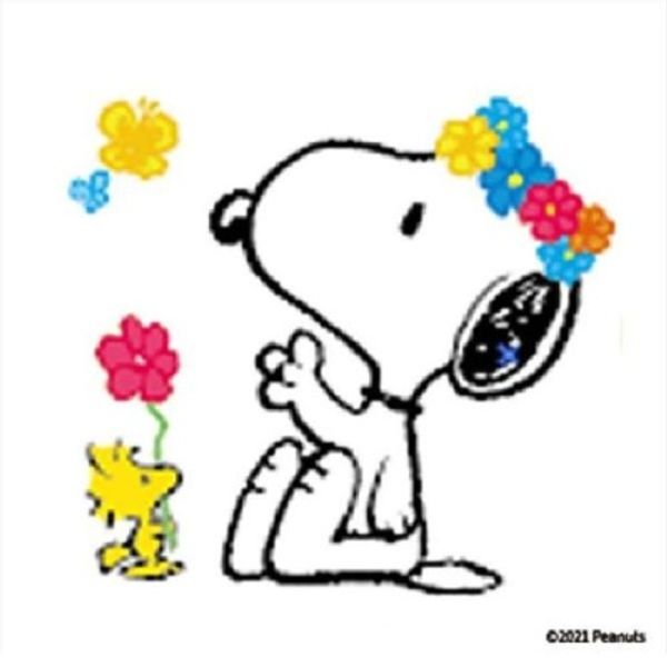 hplusmall (SM)DIY 스티커 보석십자수 피너츠 꽃 스누피 10X10 - 핫트랙스