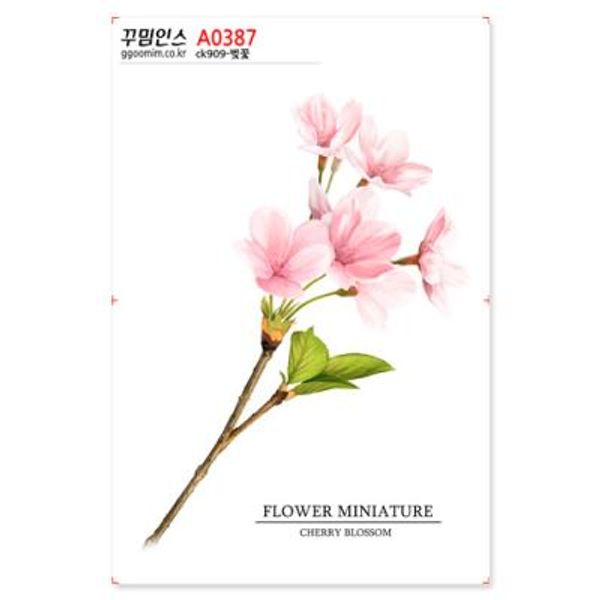 ggoomim A0387-꾸밈인스스티커_벚꽃 - 핫트랙스