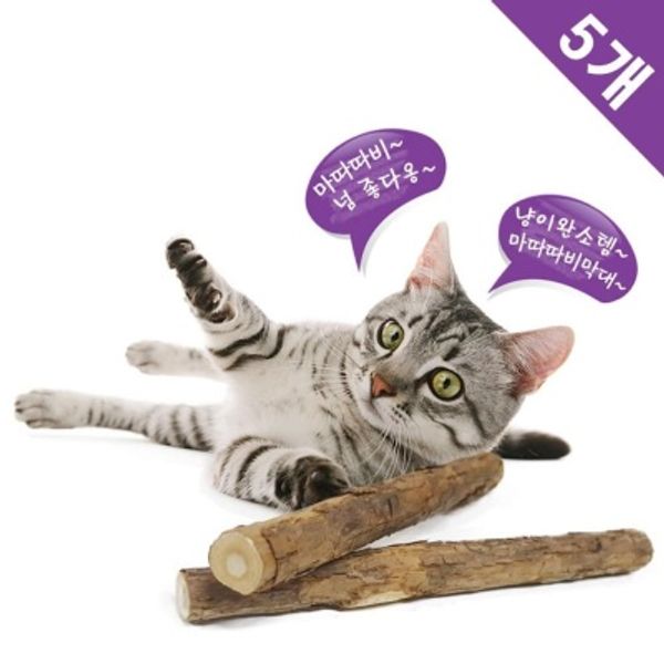 hplusmall 코코브라운 마따따비 막대 2P x5 고양이장난 - 핫트랙스