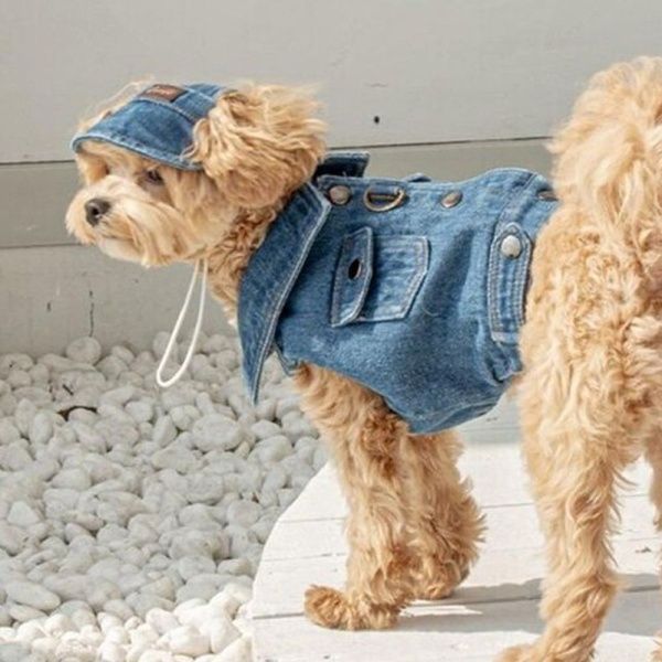 hplusmall 강아지 데님 자켓 모자 세트 1P 겨울 산책 아우터[WDC - 핫트랙스