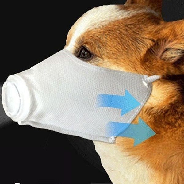 hplusmall 강아지마스크 애견마스크 강아지용마스크 개마스크[W6 - 핫트랙스