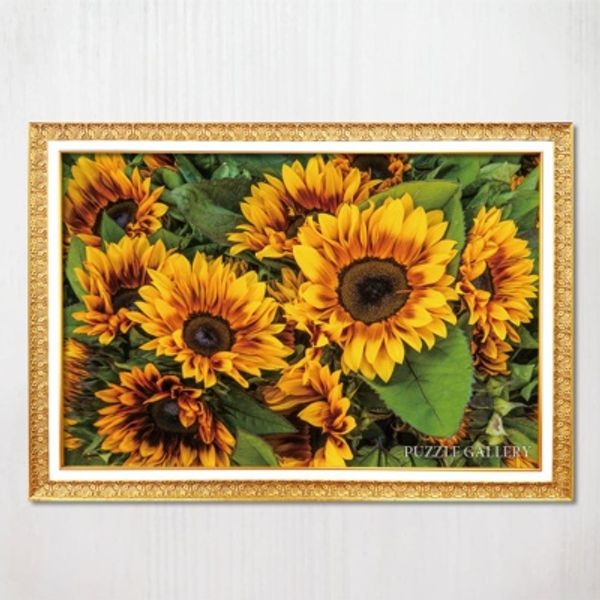 hplusmall 2000피스퍼즐 해바라기 가족 + 매트골드 (액자세트) - 핫트랙스