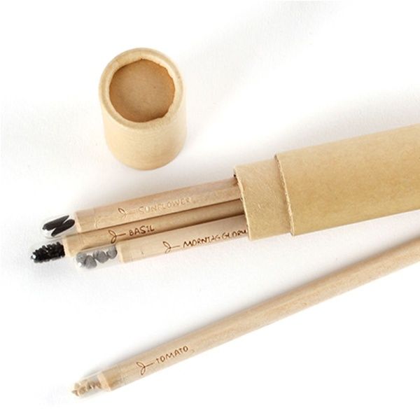 hplusmall 지관필통 n 싹이나는 씨앗연필 세트(W28F172) - 핫트랙스