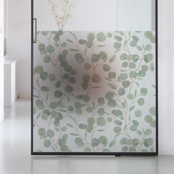 ggoomim eh357-유칼립투스_글라스시트지 - 핫트랙스