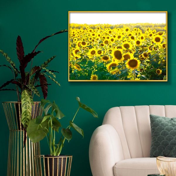 hplusmall 6.해바라기사진_A2 골드알 WC0893C - 핫트랙스