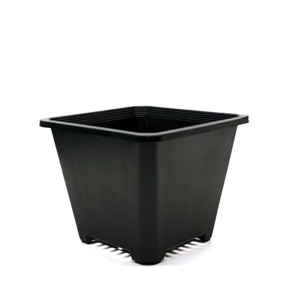 hplusmall 낮은 사각 PP플라스틱 모종 WBAF602 - 핫트랙스