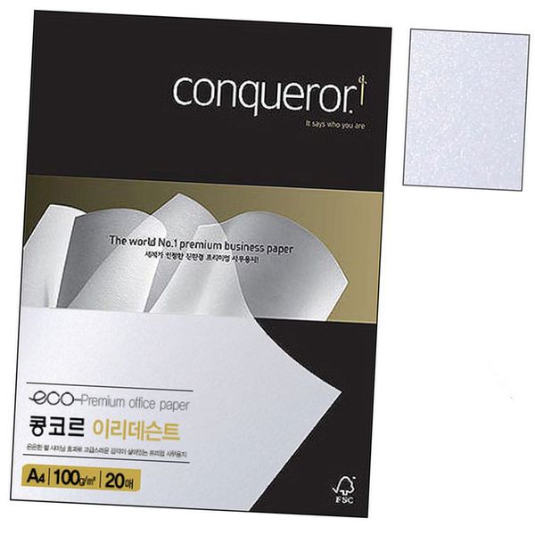 hplusmall CO6.Silver Mist WC9813C - 핫트랙스