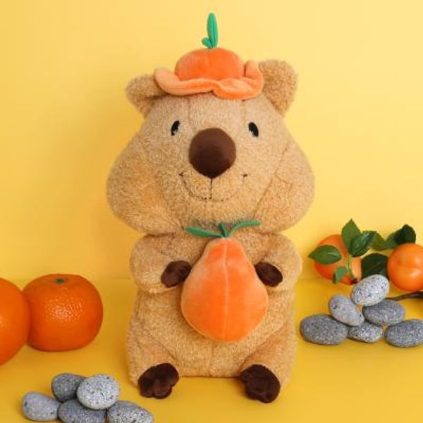 EZENDOLLS 한라봉 쿼카 봉제인형 25cm - 핫트랙스