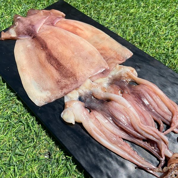 Eumdam [음담] 원양산 반건조 오징어 2미 5봉 (1.2kg) 2팩 - 핫트랙스