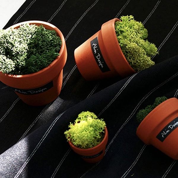 Alvin Design [앨빈디자인] 스칸디아모스 인테리어 토분세트 - 핫트랙스