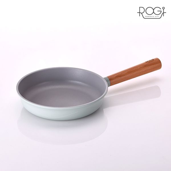 arbast [쉬젤] 로기 colo IH 프라이팬 (20cm) 포레스트 - 핫트랙스