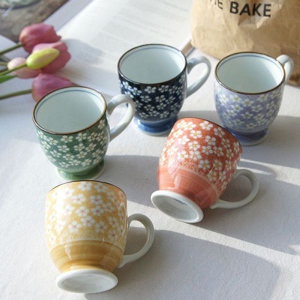 iswas [HEIM] 하나노 코스모스 머그컵 5P세트 - 핫트랙스