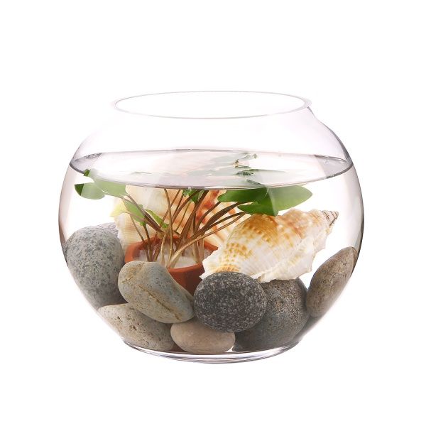 GLASSCO SHB4 투명유리볼 테라리움 어항수반 (16x12) - 핫트랙스