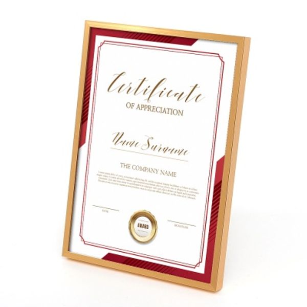 shoppingplan 모던라인 평면 상장액자(A4) (골드) 인허가액자 - 핫트랙스