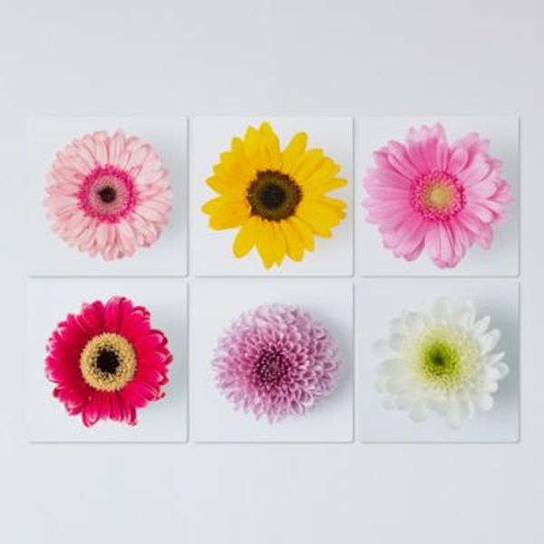 ggoomim if411-멀티액자_형형색색꽃송이 - 핫트랙스
