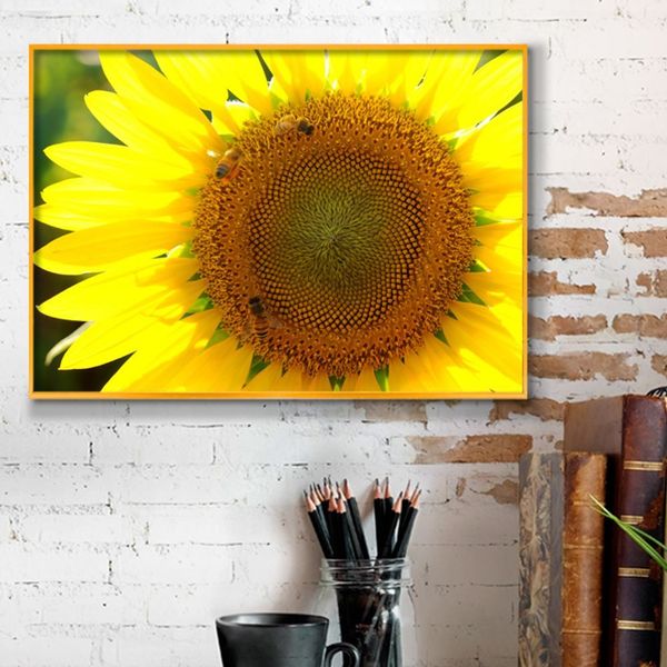 hplusmall 4해바라기사진_A3골드알루미늄 가로(WBF0BDB) - 핫트랙스