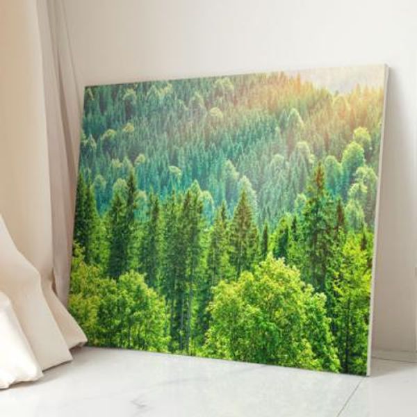 ggoomim ga860-캔버스액자72.7x53_풍수에좋은숲사진 - 핫트랙스