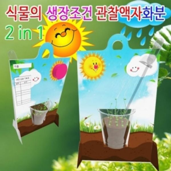 hplusmall 2 in1 식물의 생장조건 관찰액자화분 일반형 5인용 - 핫트랙스