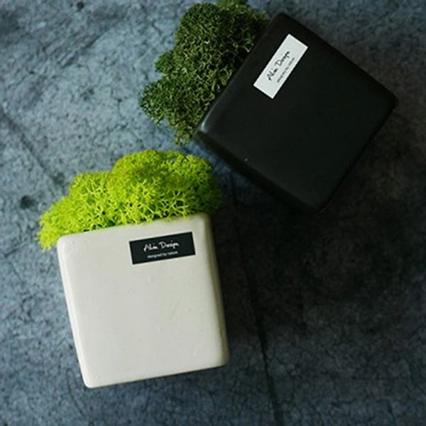 Alvin Design [앨빈디자인] 스칸디아모스 인테리어 미니 자기화분 - 핫트랙스