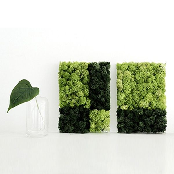 Alvin Design [앨빈디자인] 스칸디아모스 인테리어 모던액자 - 핫트랙스