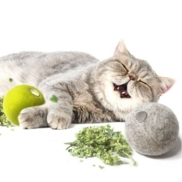 hplusmall 캣닙플라워 볼 2p - 핫트랙스