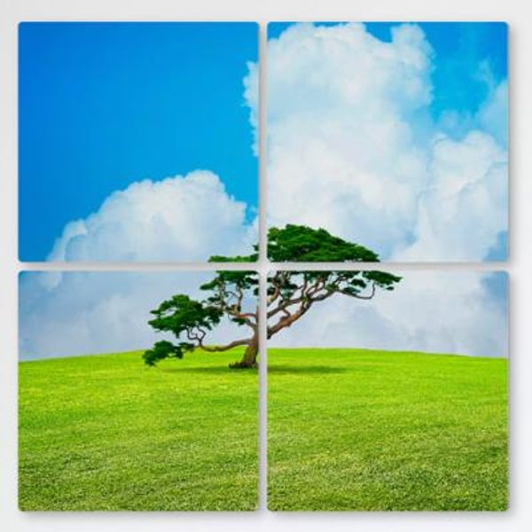 ggoomim tf289-멀티액자_푸른하늘과소나무 - 핫트랙스
