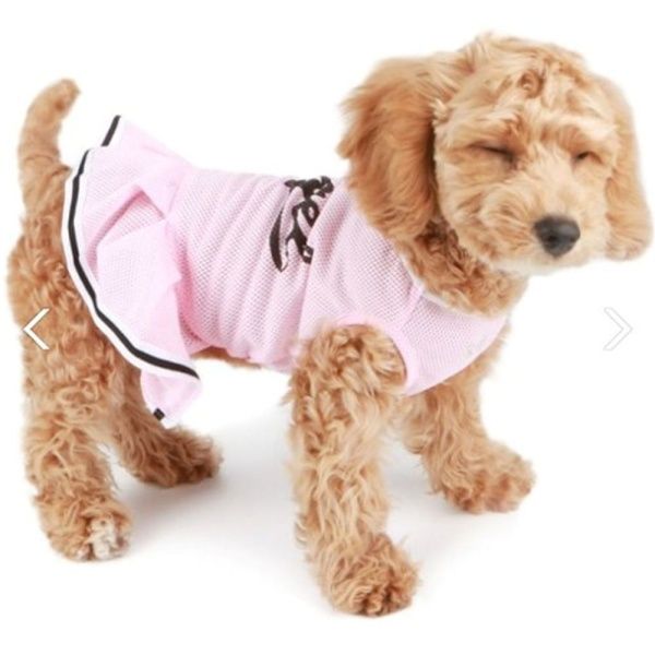 hplusmall D18 애견옷 엔젤치어리더 메쉬 핑크 원피스 (S)[WCB94 - 핫트랙스