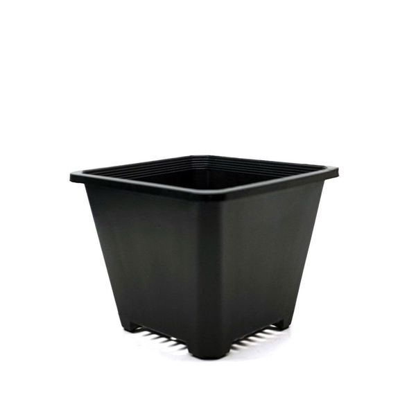 hplusmall 낮은 사각 PP플라스틱 모종 WBAF97E - 핫트랙스