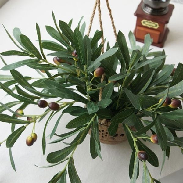 iswas [HEIM] 올리브 야자박 가렌더 - 핫트랙스