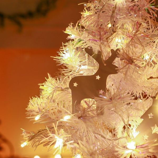 hplusmall 은하수 50구 투명선 피켓 WD090F7 - 핫트랙스