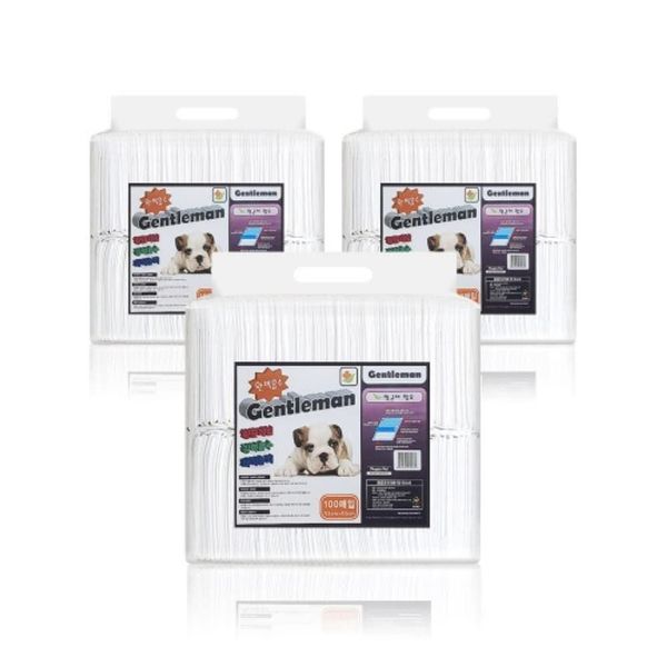 hplusmall 젠틀맨 절약형패드 100매X3개(1박스)(WF0BD05) - 핫트랙스