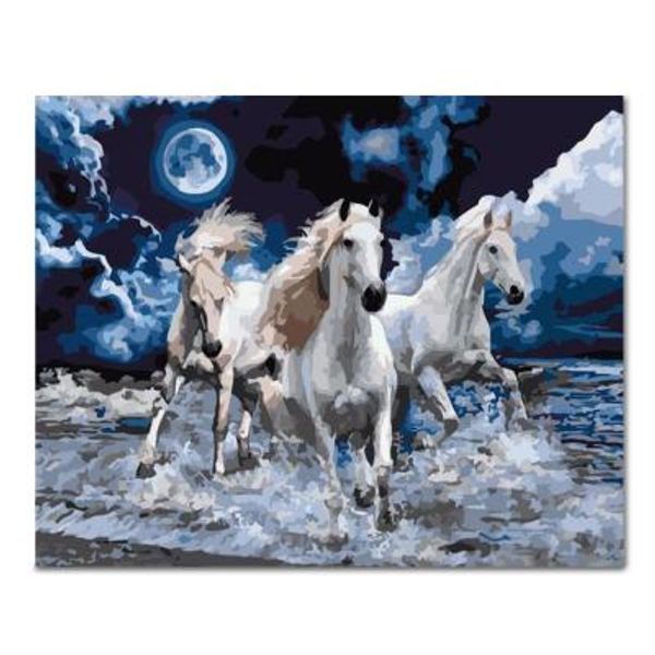 ADICO DIY 페인팅 파도 속 질주말 PEE11 (50x40) - 핫트랙스