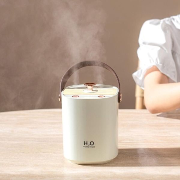 ZIPDREE 충전식 듀얼미스트 무드등 가습기 1.2L - 핫트랙스