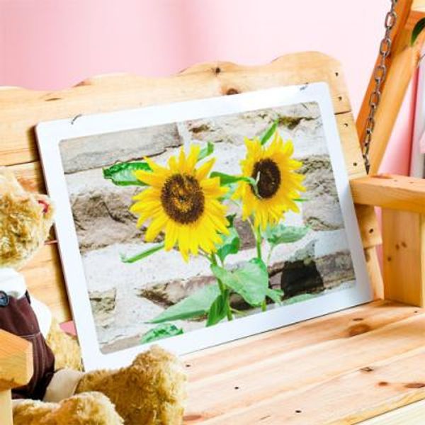 ggoomim ns037-행잉액자_돌담아래해바라기(사각가로대형) - 핫트랙스