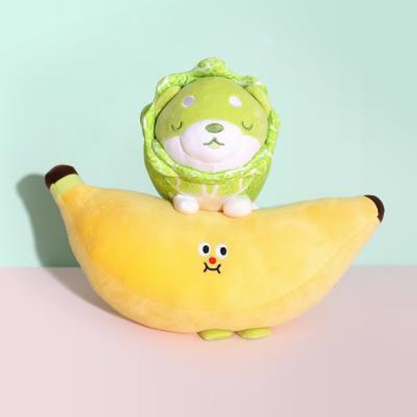 EZENDOLLS 배추시바 나한테바나나 봉제인형 - 핫트랙스