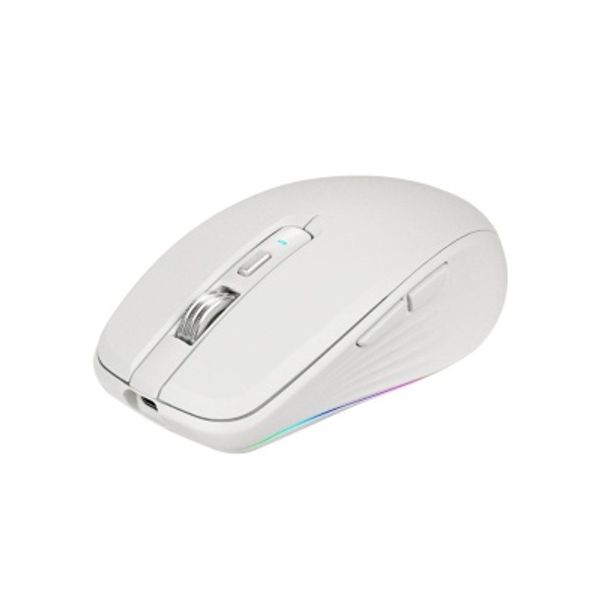 hplusmall LED 무소음 블루투스 마우스 멀티페어링 C타입 충전 - 핫트랙스